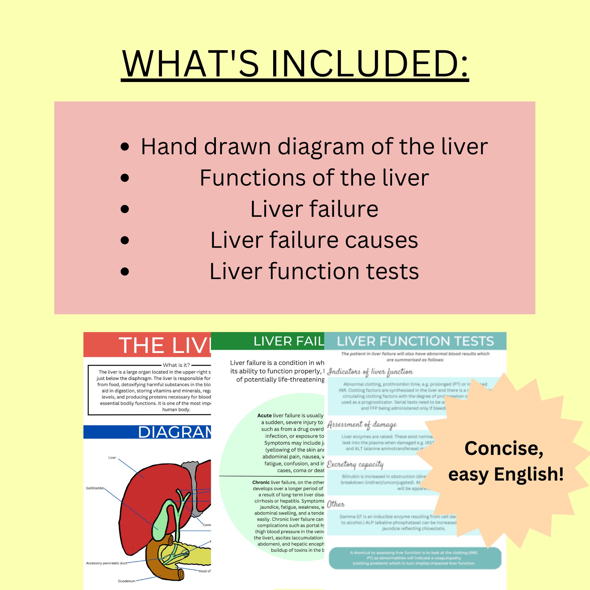 The Liver Study Guide Nursing Study Guide Digital Download - Etsy UK