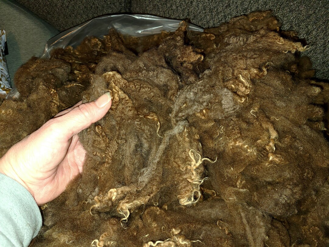 Washed Brown Finnsheep Lambs Wool - Etsy