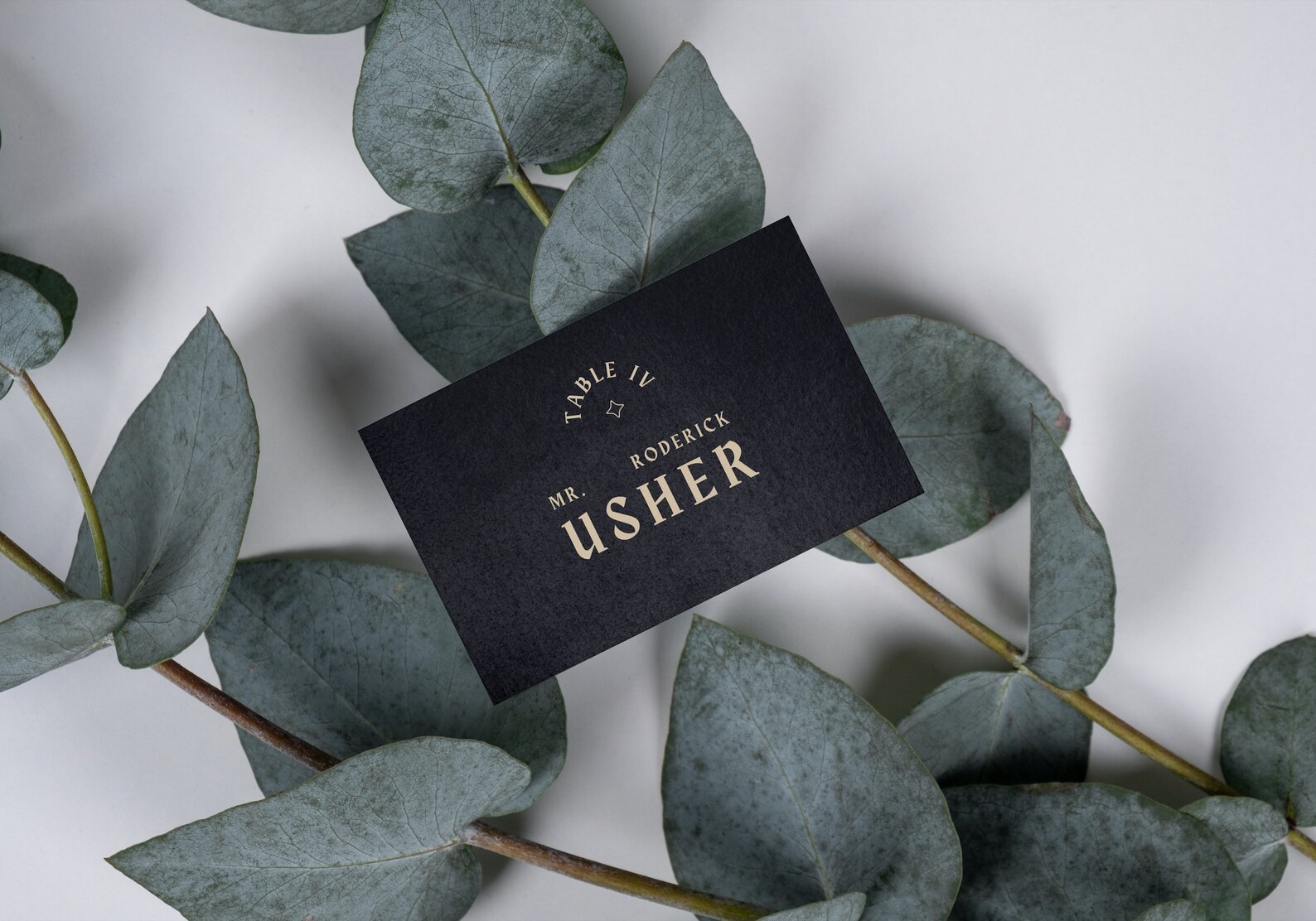 Wedding Signage Package Annabel Collection Poe Inspired Dark Gothic ...