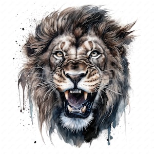 Lion Angry Drawing