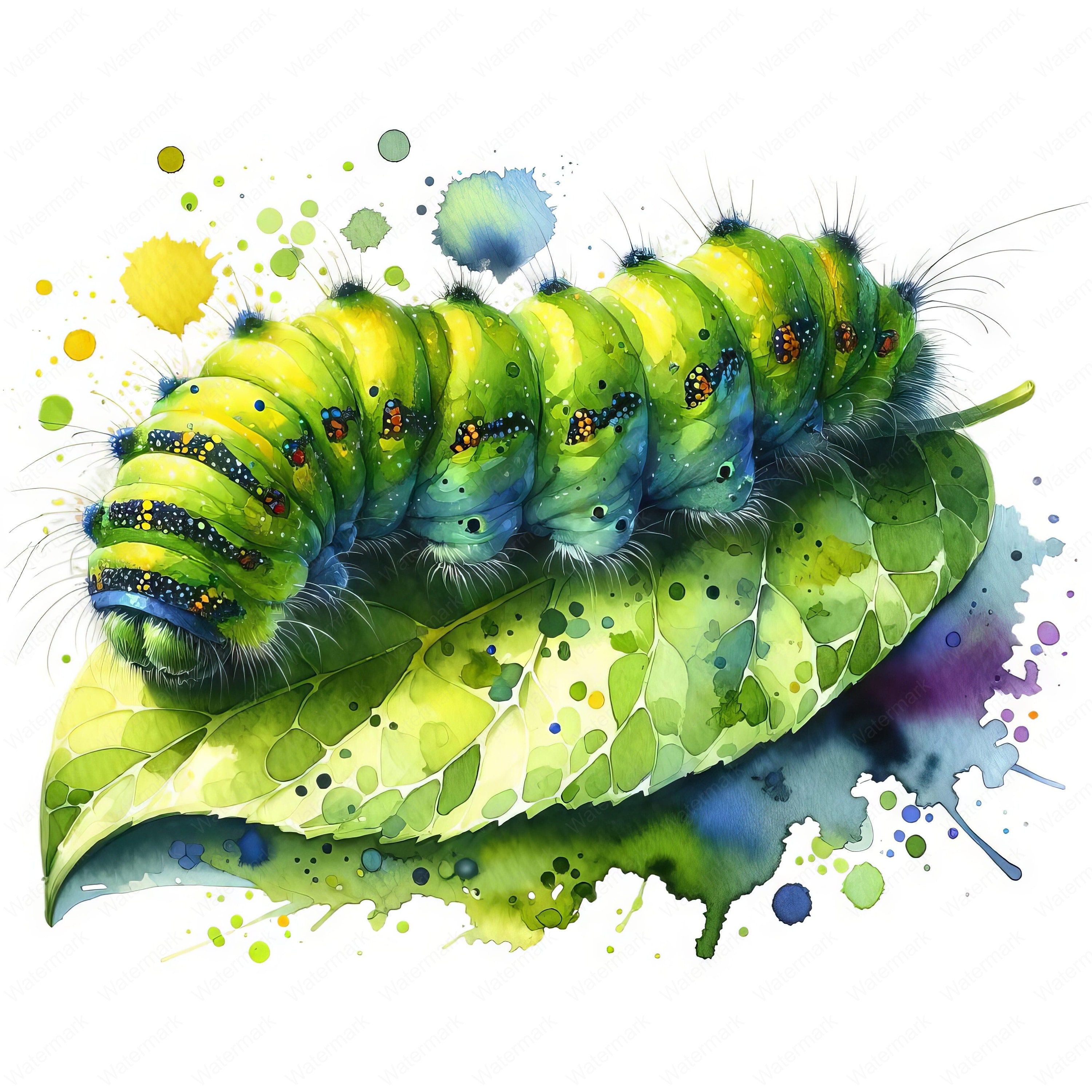 Watercolor Caterpillar Clipart Bundle: Insect Art Printables (digital ...