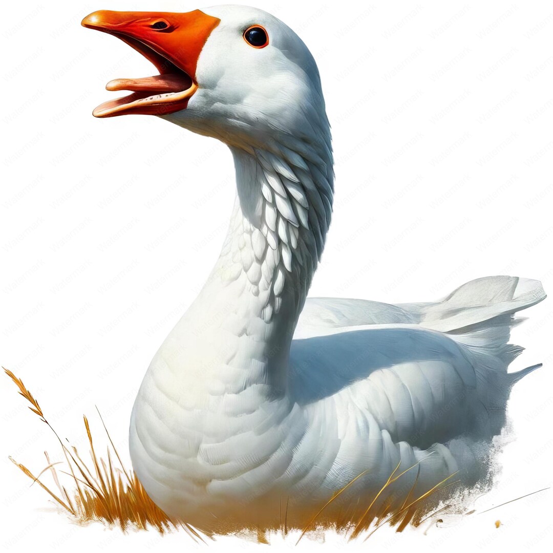 Farm Goose Clipart | Rustic Farm Goose Clipart Bundle | 10 High-quality ...