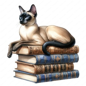 Library Cat Clipart 10 High-quality Images Bookworm Cat Illustrations ...