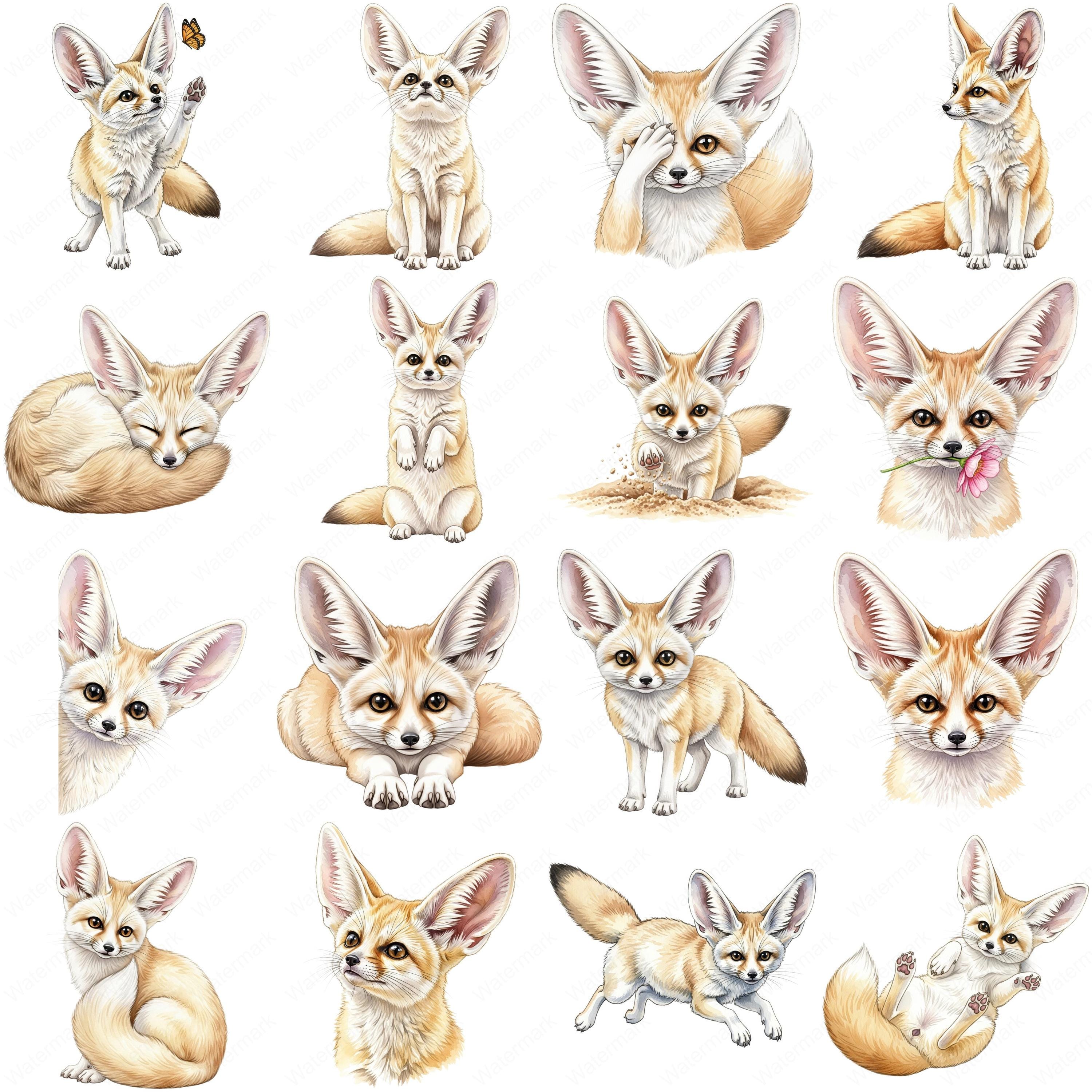 Watercolor Fennec Fox Clipart: High-res PNG Designs (commercial Use ...