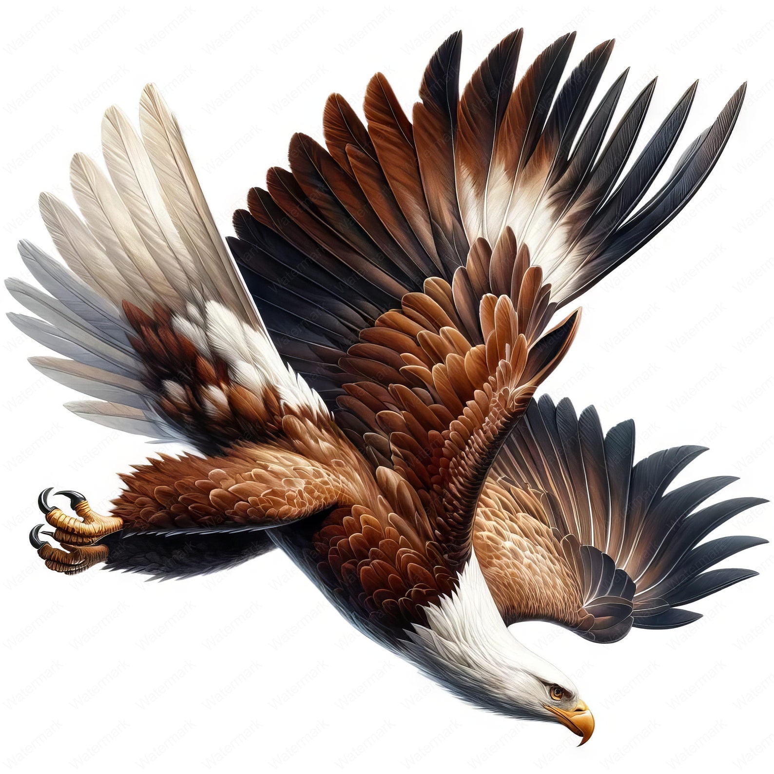 Intense Eagle Clipart Bundle | Bird of Prey Designs (digital Download ...