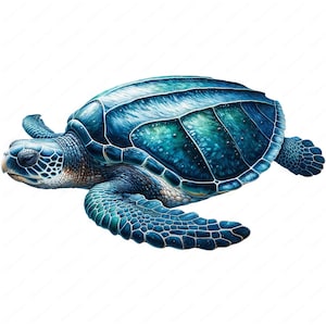 Leatherback Sea Turtle Clipart: Marine Life Art (digital Download) - Etsy