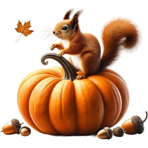 Autumn Squirrel Clipart | Cute Fall Squirrel Clipart Bundle | 10 High ...