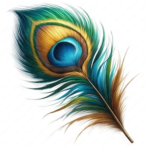 Peacock Feather Clipart | Vibrant Peacock Feather Clipart Bundle | 10 ...