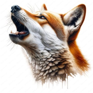 Howling Dingo Clipart: Wildlife Art Prints (digital Download) - Etsy