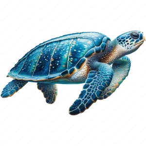 Leatherback Sea Turtle Clipart: Marine Life Art (digital Download) - Etsy
