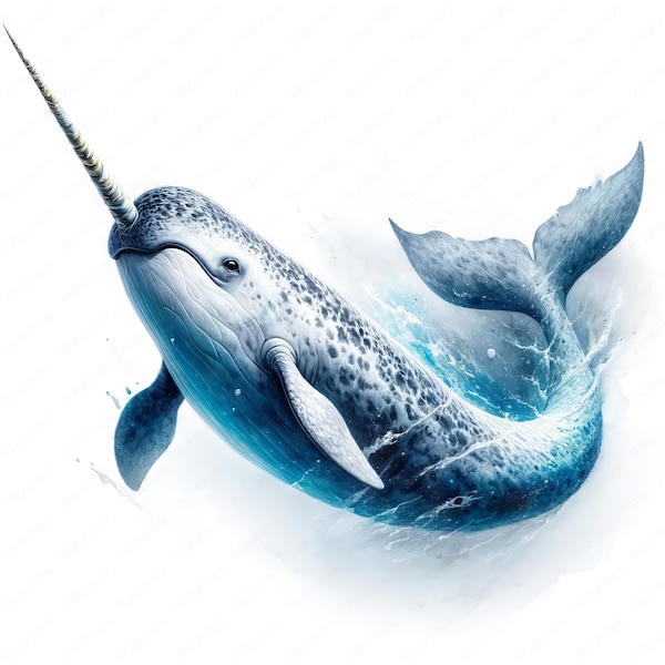Narwhal Art - Etsy