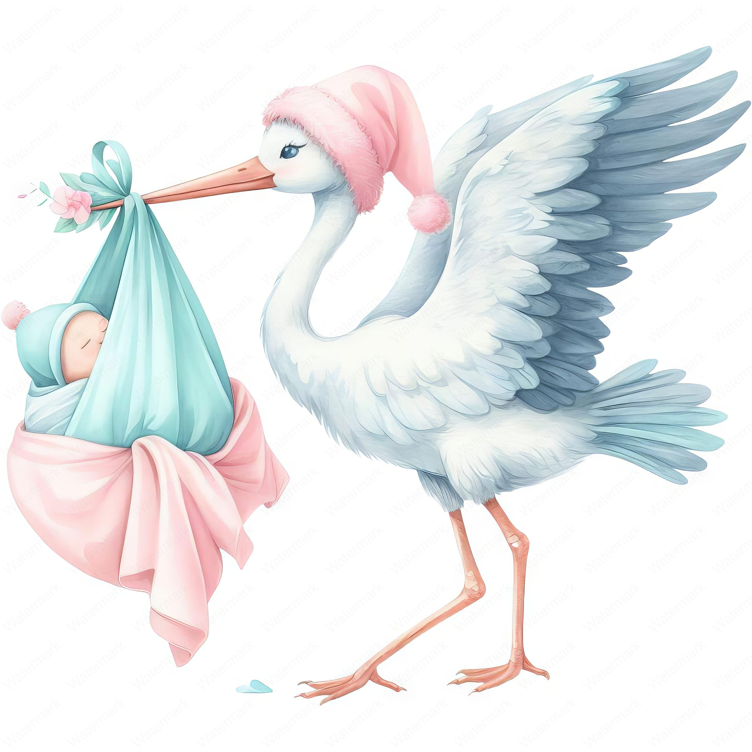 Stork Baby Girl Clipart Bundle: Newborn Art Designs (digital Download ...