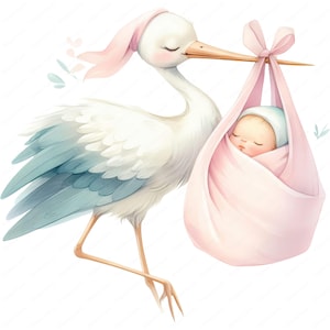 Stork Baby Girl Clipart Bundle: Newborn Art Designs (digital Download ...