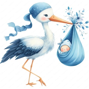 Stork Baby Boy Clipart Bundle | Baby Shower Art (digital Download) - Etsy