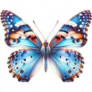 Vivid Butterfly Clipart | Colorful Butterfly Clipart Bundle | 10 High ...