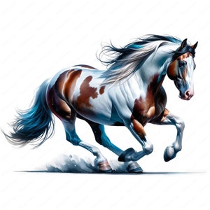 Majestic Paint Horse Clipart | Equine Art Printables (digital Download ...