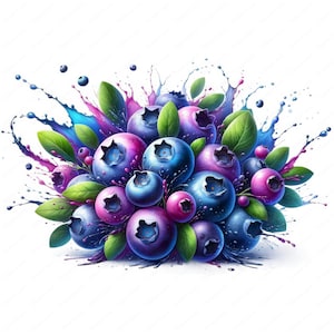 Blueberry Clipart | Vivid Blueberry Splash Clipart Bundle | 10 High ...