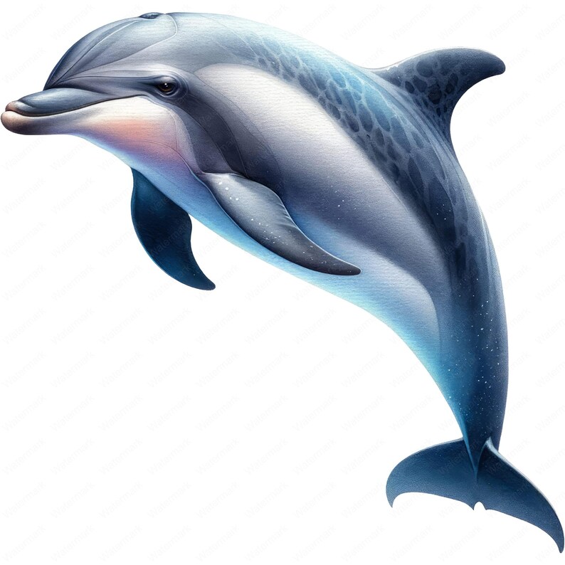 Playful Dolphin Clipart Bundle: Ocean Life Art (digital Download) - Etsy