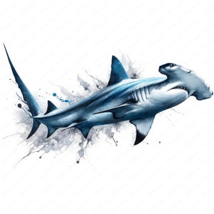 Hammerhead Shark Clipart Bundle: Ocean Life Art (digital Download) - Etsy
