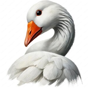 Farm Goose Clipart Rustic Farm Goose Clipart Bundle 10 High-quality ...