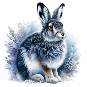 Arctic Hare Clipart Clipart Bundle 10 High-quality Images Wall Art ...