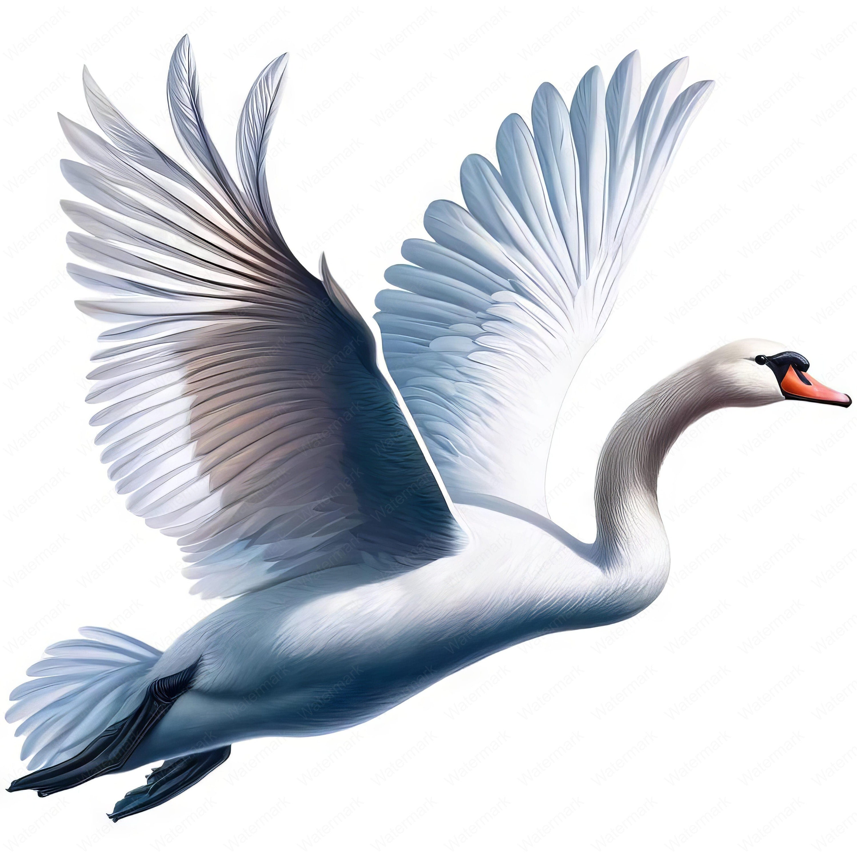 Elegant Flying Swan Clipart | Bird Art Printables (digital Download) - Etsy