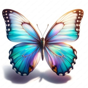 Vivid Butterfly Clipart Colorful Butterfly Clipart Bundle - Etsy