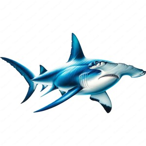 Hammerhead Shark Clipart Bundle: Ocean Life Art (digital Download) - Etsy