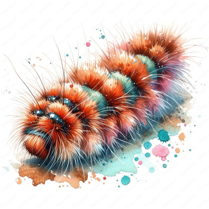 Watercolor Caterpillar Clipart Bundle: Insect Art Printables (digital ...