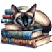 Library Cat Clipart | 10 High-quality Designs | Bookworm Cat ...