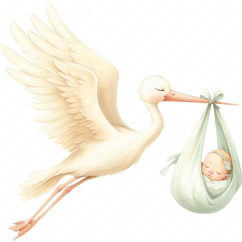 Stork Baby Clipart Bundle: Newborn Art Designs (digital Download) - Etsy