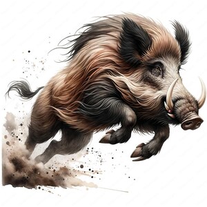 Wild Boar Clipart | Clipart Bundle | 10 High-quality Designs | Wall Art ...