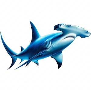 Hammerhead Shark Clipart Bundle: Ocean Life Art (digital Download) - Etsy