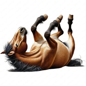 Farm Horse Clipart | Rustic Farm Horse Clipart Bundle | 10 High-quality ...