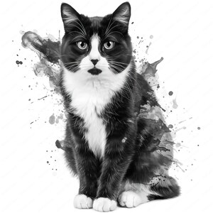Watercolor Cat Clipart: Black & White Feline PNG Bundle (digital ...