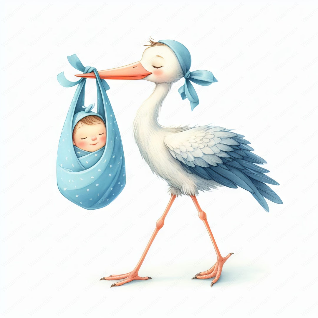 Stork Baby Boy Clipart Baby Boy Arrival Clipart Bundle 10 High-quality ...