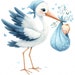 Stork Baby Boy Clipart Bundle | Baby Shower Art (digital Download) - Etsy