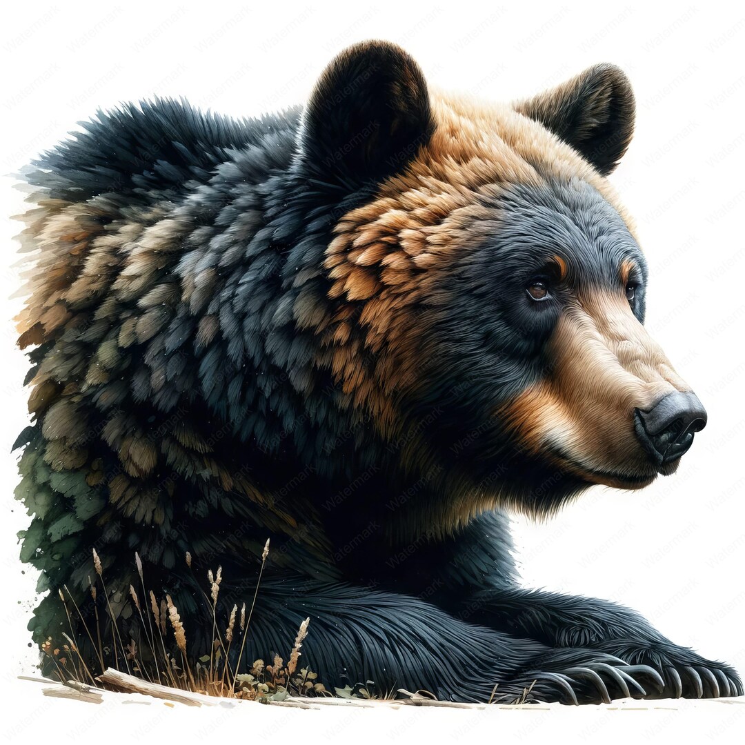 Majestic Black Bear Clipart Bundle: Wildlife Art Printables (digital ...