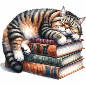 Library Cat Clipart | 10 High-quality Designs | Bookworm Cat ...