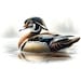 Wildlife Clipart Beautiful Wood Duck Clipart Bundle 10 High-quality ...