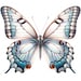 Vivid Butterfly Clipart | Colorful Butterfly Clipart Bundle | 10 High ...