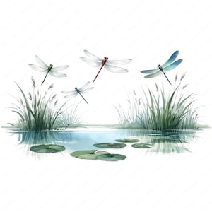 Pond Dragonflies Clipart Bundle: Nature Art Printables (commercial Use ...