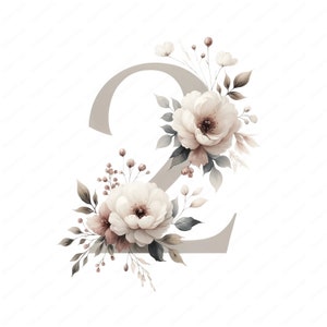 Elegant Floral Numbers Clipart | 10 High-quality PNG | Invitation ...