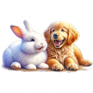 Animal Friends Clipart | Cute Animal Friends Clipart Bundle | 10 High ...