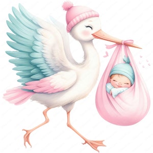 Stork Baby Girl Clipart Bundle: Newborn Art Designs (digital Download ...