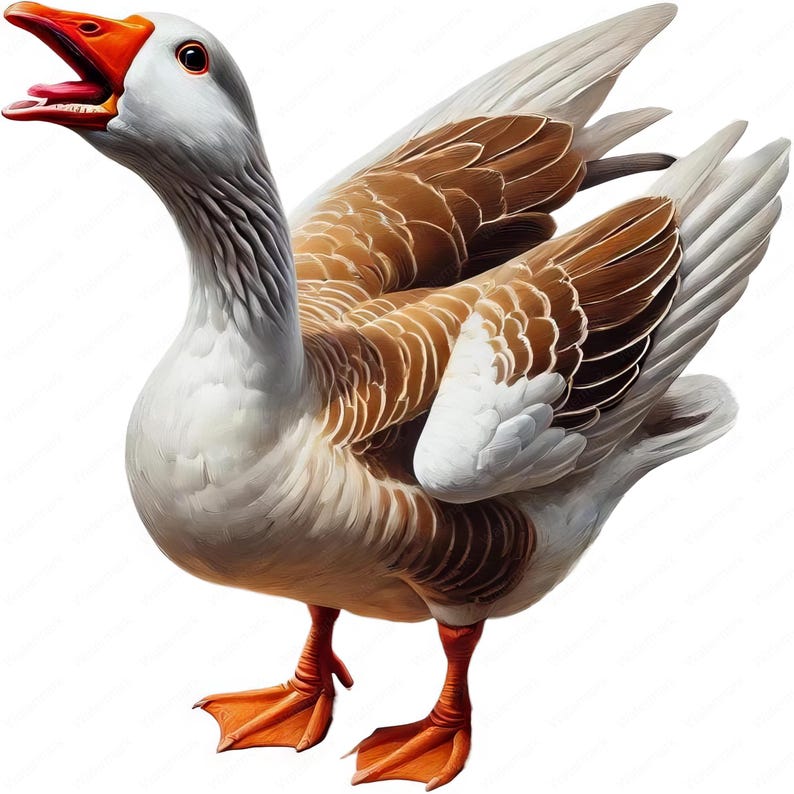 Farm Goose Clipart Bundle: Rustic Country Art (digital Download) - Etsy