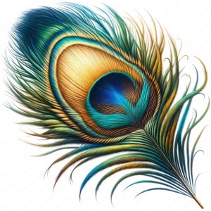 Peacock Feather Clipart | Vibrant Peacock Feather Clipart Bundle | 10 ...