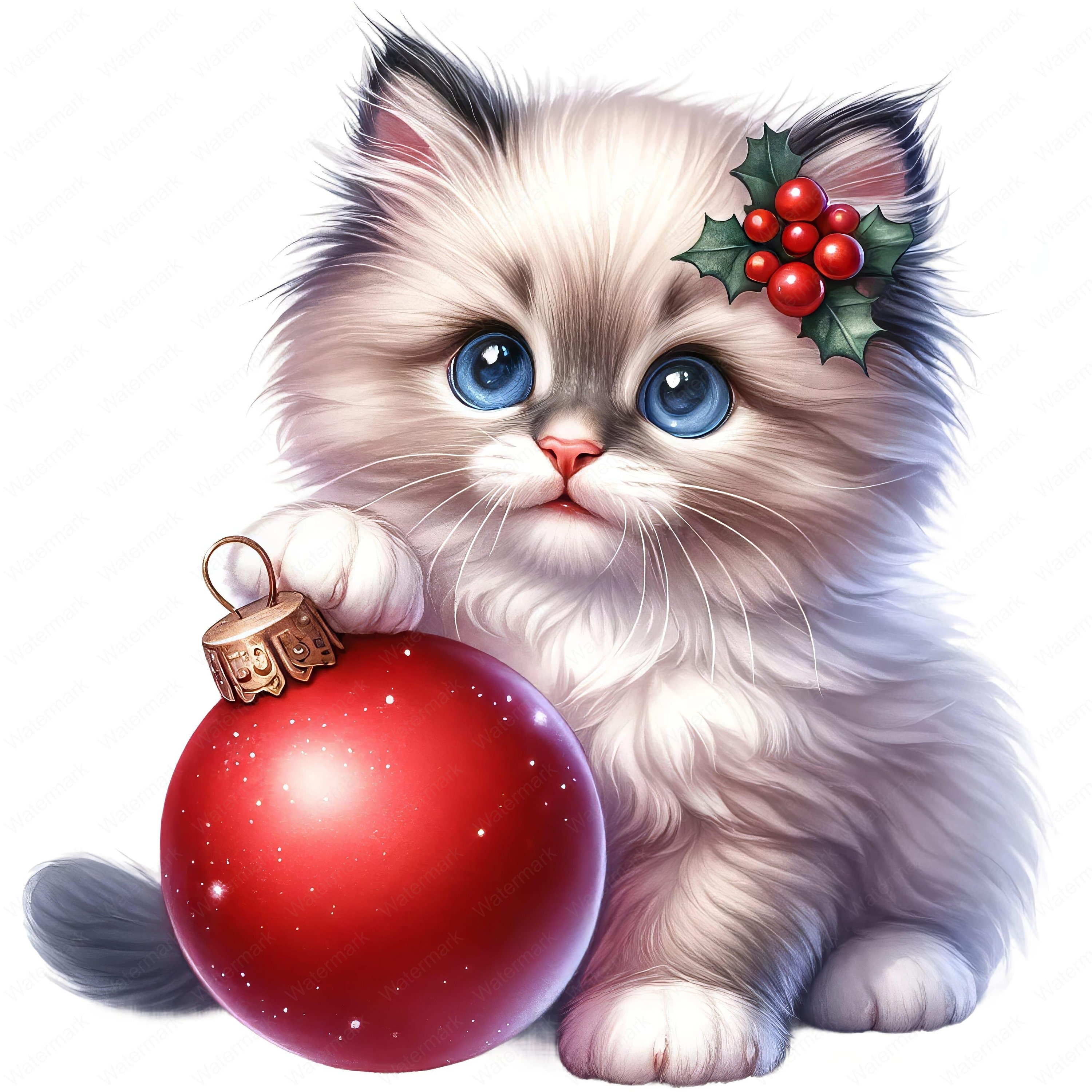 Christmas Cat Clipart: Festive Holiday Designs (digital Download) - Etsy