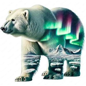 Polar Bear Clipart Bundle: Arctic Wildlife, Northern Lights Art ...