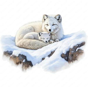 Cozy Arctic Fox Clipart Bundle: Winter Animal Art (digital Download) - Etsy